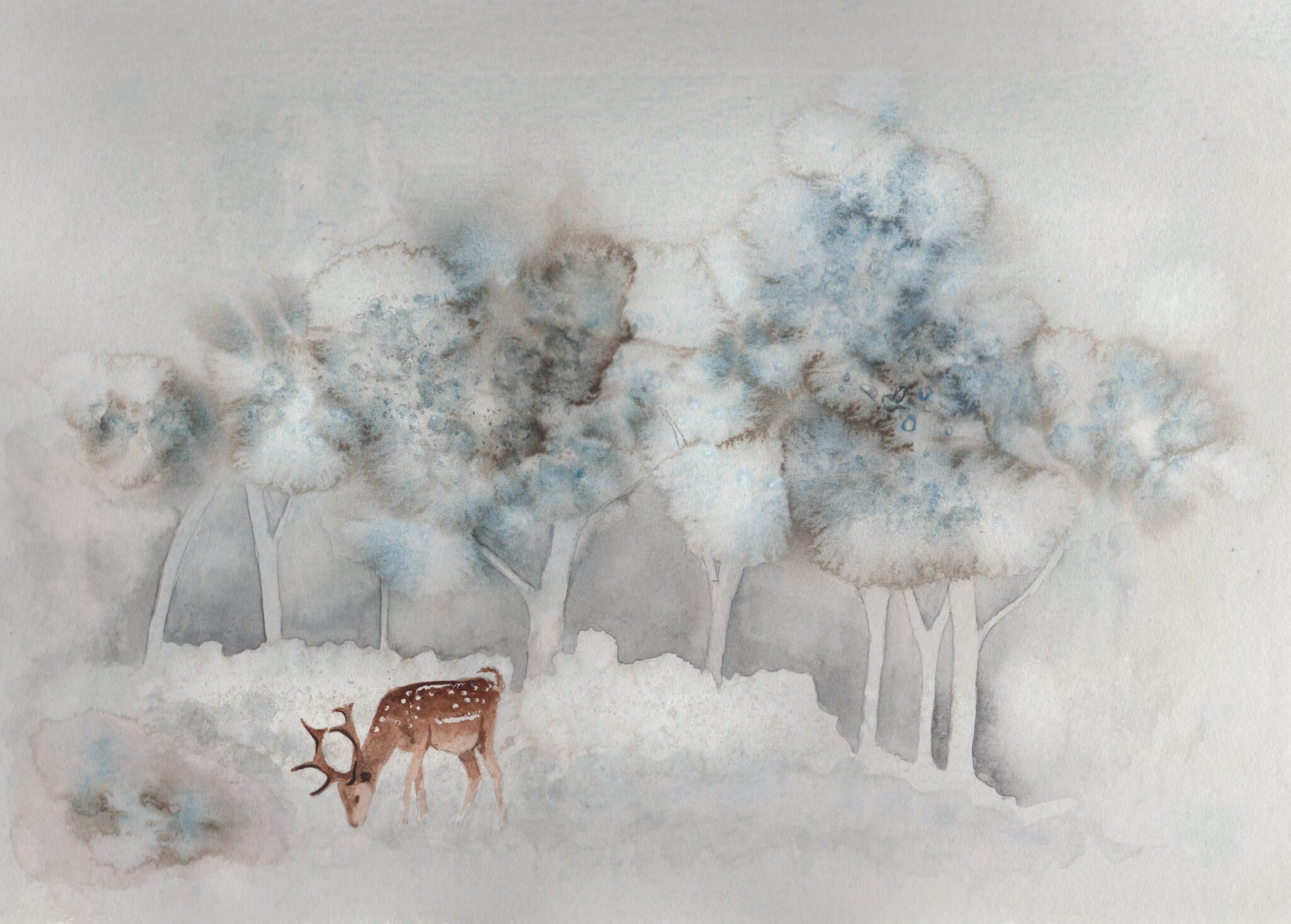 ARCHIVE: January 2026 demo – Claire Cross – watercolour with salt ...